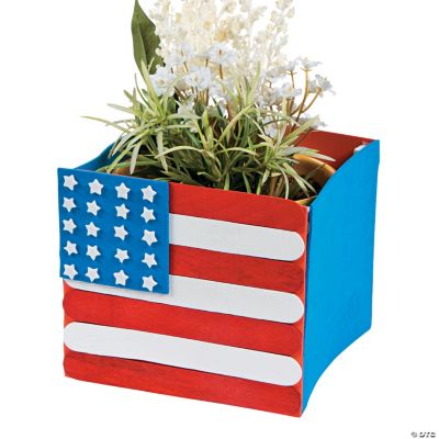 Craft Stick Flag Planter Craft Kit - Discontinued