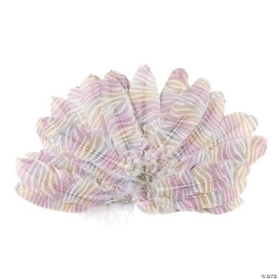 Printed Feather Assortment - Discontinued