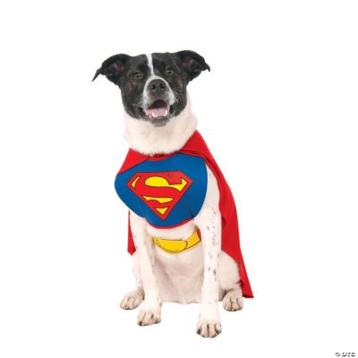 Superman Dog Costume | Oriental Trading