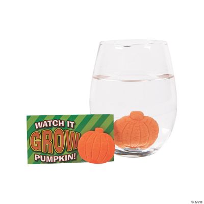 Bulk 48 Pc. Watch It Grow Orange Foam Pumpkin Water Growing Toys ...