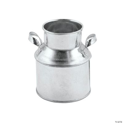 Mini Galvanized Jugs - 12 Pc. | Oriental Trading