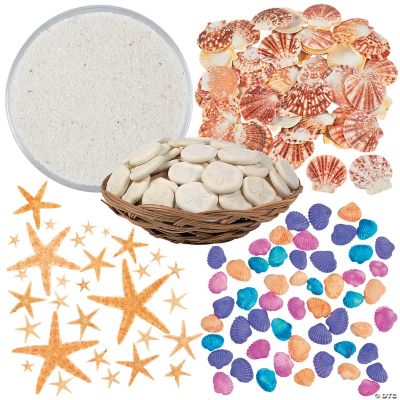 Bulk 501 Pc. Super Shell Assortment