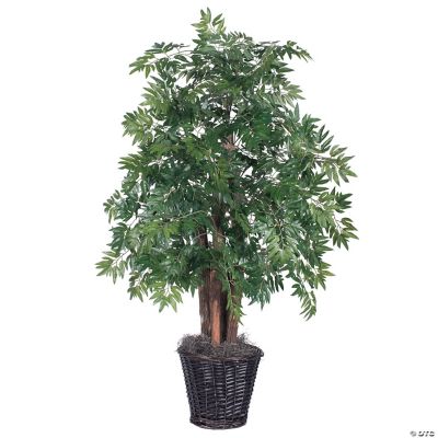 Vickerman 4' Artificial Ming Aralia Bush, Rattan Basket | Oriental Trading
