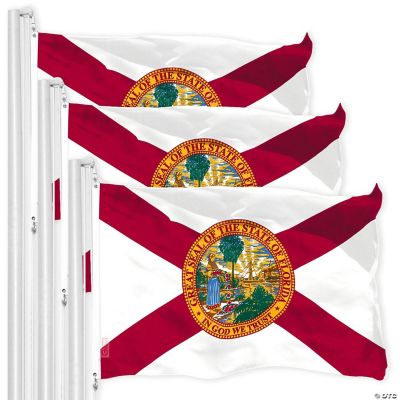 G128 - Florida FL State Flag 3x5FT 3 Pack 150D Printed Polyester ...