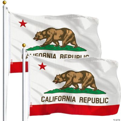 G128 - California CA State Flag 3x5FT 2 Pack Printed Polyester ...