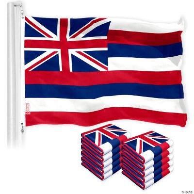 G128 - Hawaii HI State Flag 3x5FT 10 Pack 150D Printed Polyester ...