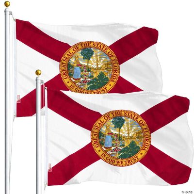 G128 - Florida FL State Flag 3x5FT 2 Pack Printed Polyester | Oriental ...