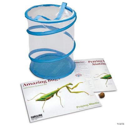 Praying Mantis Amazing Bugs® Kit (with egg case and fruit flies)