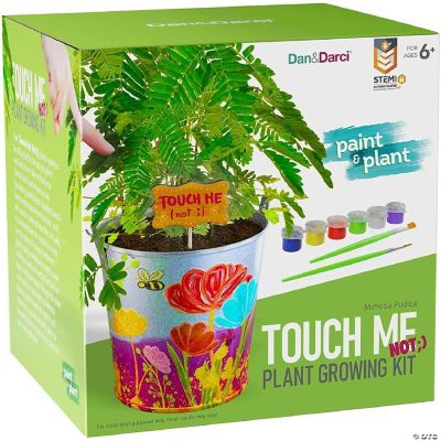 Dan&Darci - Touch-Me-Not Kids Gardening Kit - Tickle Sensitive Plant Garden