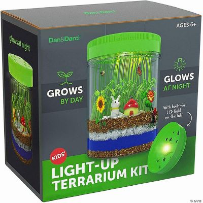 Dan&Darci - Light-Up Terrarium Kit for Kids | Oriental Trading