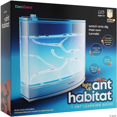 Jelly Ant Farming Material