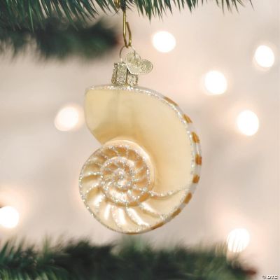 Old World Christmas 12150 Glass Blown Nautilus Shell Ornament ...