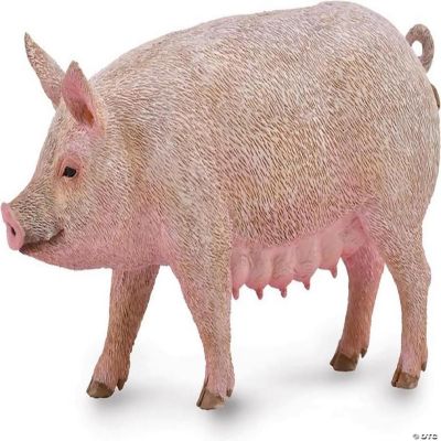 CollectA Farm Life Collection Miniature Figure Sow | Oriental Trading