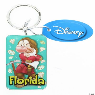 Disney Grumpy Florida Rectangular Lucite Key Ring | Oriental Trading