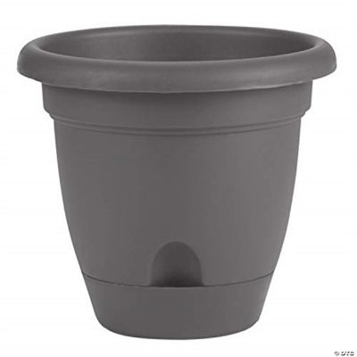 Bloem Lucca Plastic Self-Watering Planter with Saucer, Charcoal, 10 Inches