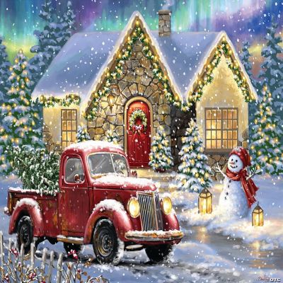 Springbok Christmas Light Lane 500 Piece Jigsaw Puzzle | Oriental Trading