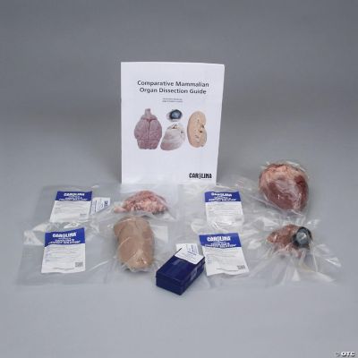 Carolina Biological Supply Company Comparative Mammalian Organ ...