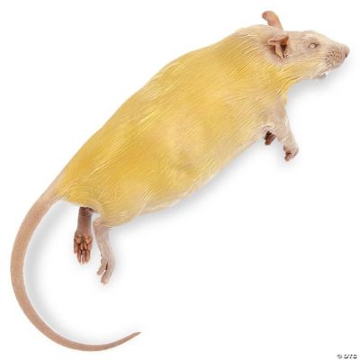 Carolina's Perfect Solution® Rat, 7"+, Plain, 1 Per Bag
