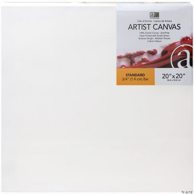 Art Advantage Artist Canvas Visual Edge 20"x 20" | Oriental Trading