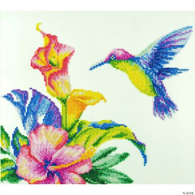 Diamond Art Kit 16"x 14" Advanced Hummingbird