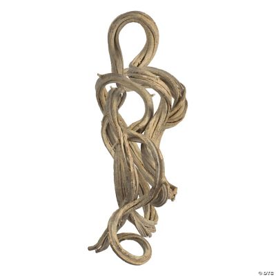 Vickerman 13" Bleached Coiled Vine, Dried