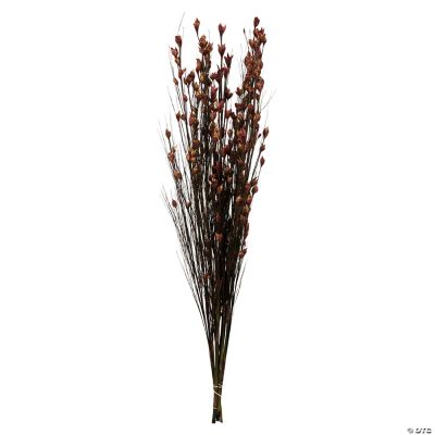 Vickerman 36-40" Long Stem Bell Grass with Merlot Colored Seed Pods, 2 ...