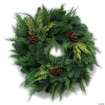 Alpine Farms 26" Fresh Rustic Cedar and Noble Fir Wreath