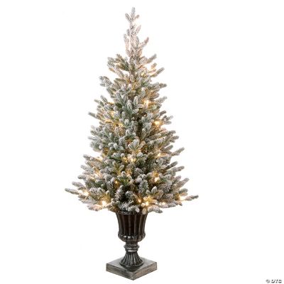 National Tree Company 4 ft. Iceland Fir Entrance Tree with Clear Lights