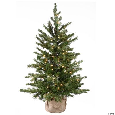 National Tree Company 3 ft. Nordic Spruce® Tree with Clear Lights