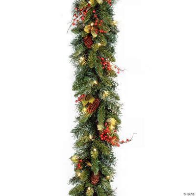 National Tree Company 9 ft. Classical Collection Garland with Clear Lights