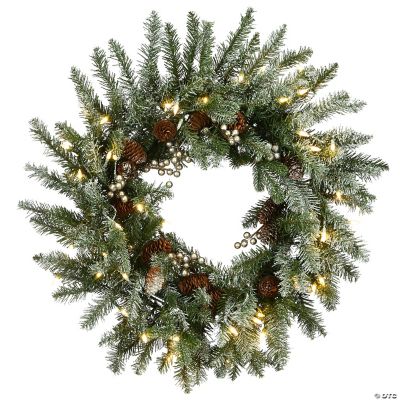 National Tree Company 24" Snowy Morgan Spruce Wreath with Battery ...