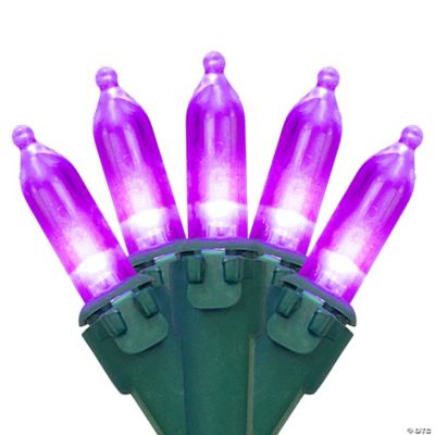 Northlight 100-Count Purple LED Mini Christmas Lights 33ft Green Wire ...