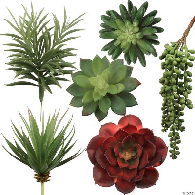 Floral Home 15" Succulent Set 6 Individual Picks | Oriental Trading