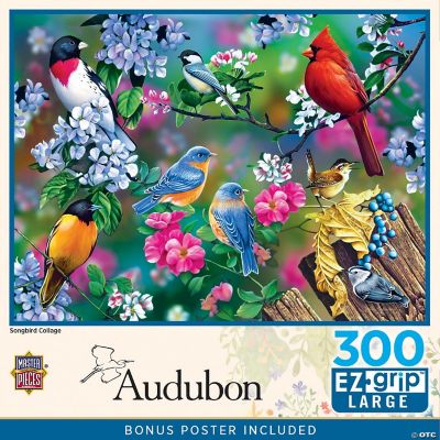 MasterPieces Audubon Songbird Collage 300 Piece EZ Grip Jigsaw Puzzle ...