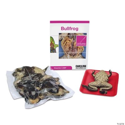 Bullfrog Dissection BioKit