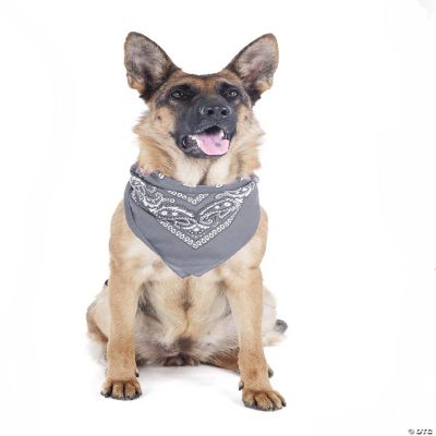 Balec Paisley Polyester Pets 6 Pack Dogs Bandana Triangle Shape ...