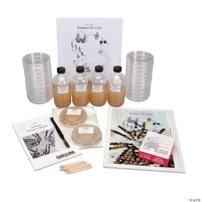 Carolina BioKits : Sordaria Genetics (with voucher)
