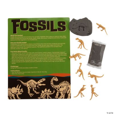 Make Your Own Fossil Craft Kit - Makes 12