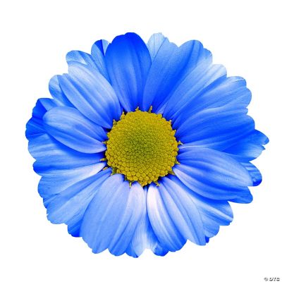 Blue daisy wall art | Oriental Trading