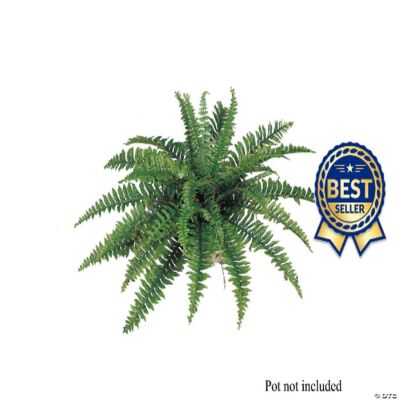 Floral Home Green 35 Fronds Boston Fern Plant 2pcs | Oriental Trading