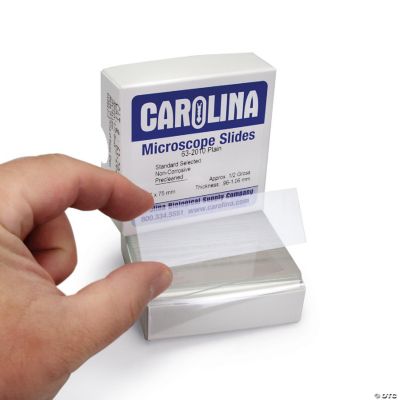 Carolina Microscope Slide, Glass, Standard, 25 x 75 mm, 0.96-1.06 mm ...