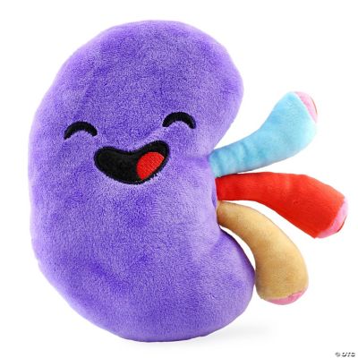Attatoy Plush Kidney, Stuffed Body Organ Toy for Get Well Gift, Health ...