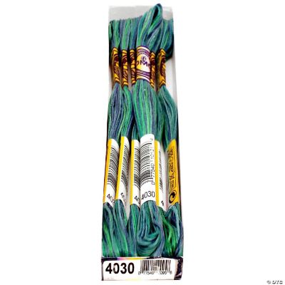 DMC Color Variations Variegated Floss 4030 | Oriental Trading