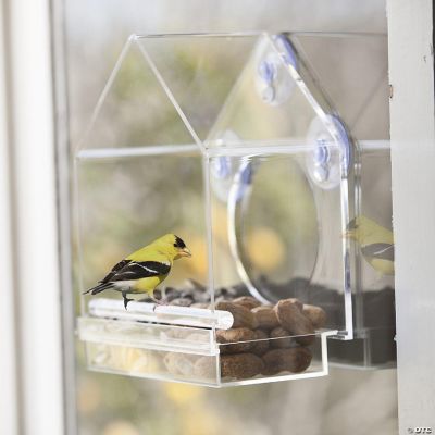 OnDisplay Window Mounted Clear Acrylic Bird House | Oriental Trading