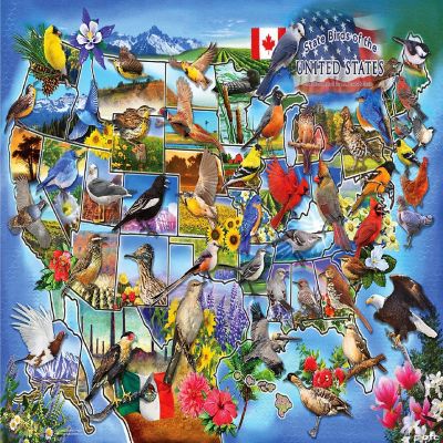 Sunsout State Birds of the U.S. 1000 pc Jigsaw Puzzle | Oriental Trading