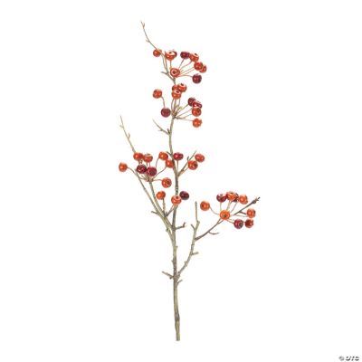 Variegated Orange Berry Pod Spray (Set of 12) | Oriental Trading