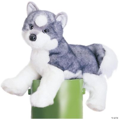 Douglas Sasha Husky