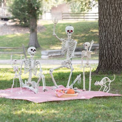 Skeleton Family Picnic with Pet Halloween Decorating Kit - 5 Pc.