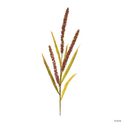 Seeded Plume Spray (Set of 12) | Oriental Trading