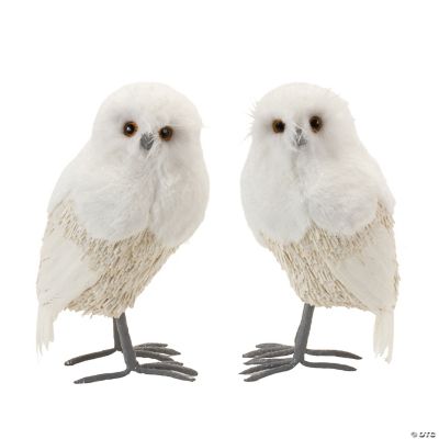 Winter Owl Decor (Set Fo 2) 12.5"H Foam | Oriental Trading